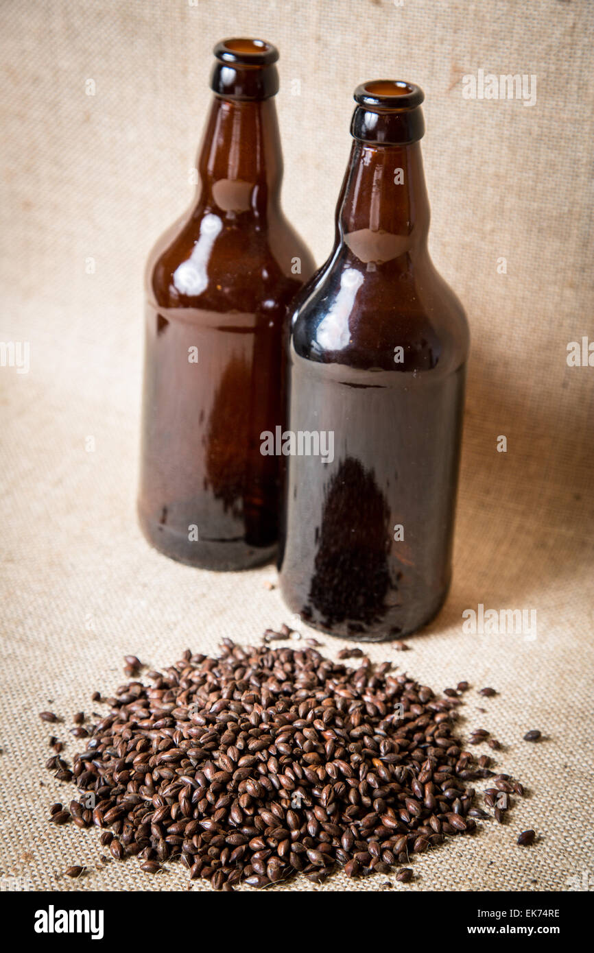 Roasted Barley, used as a flavouring in beer making Stock Photo - Alamy