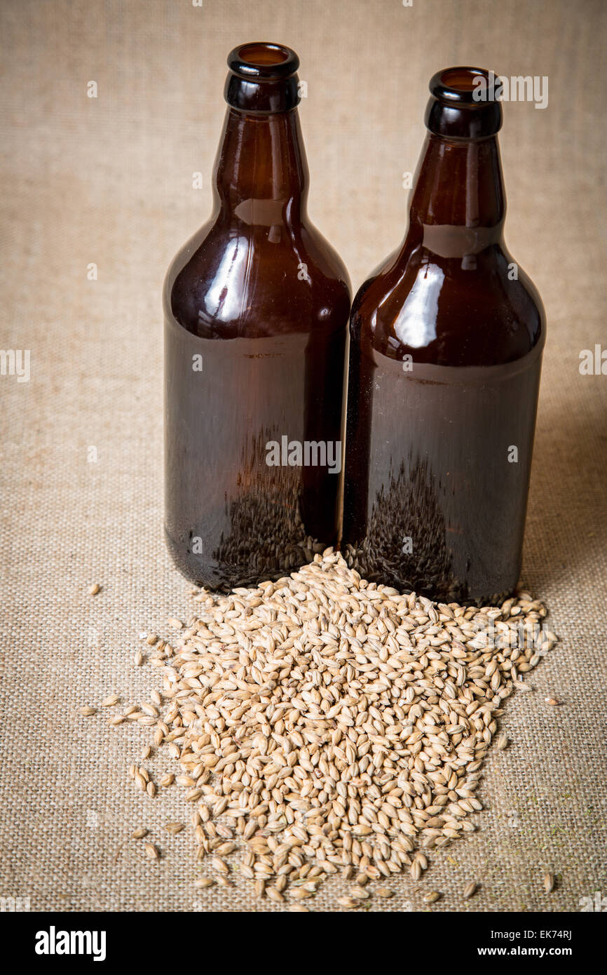 Golden promise malt Stock Photo - Alamy