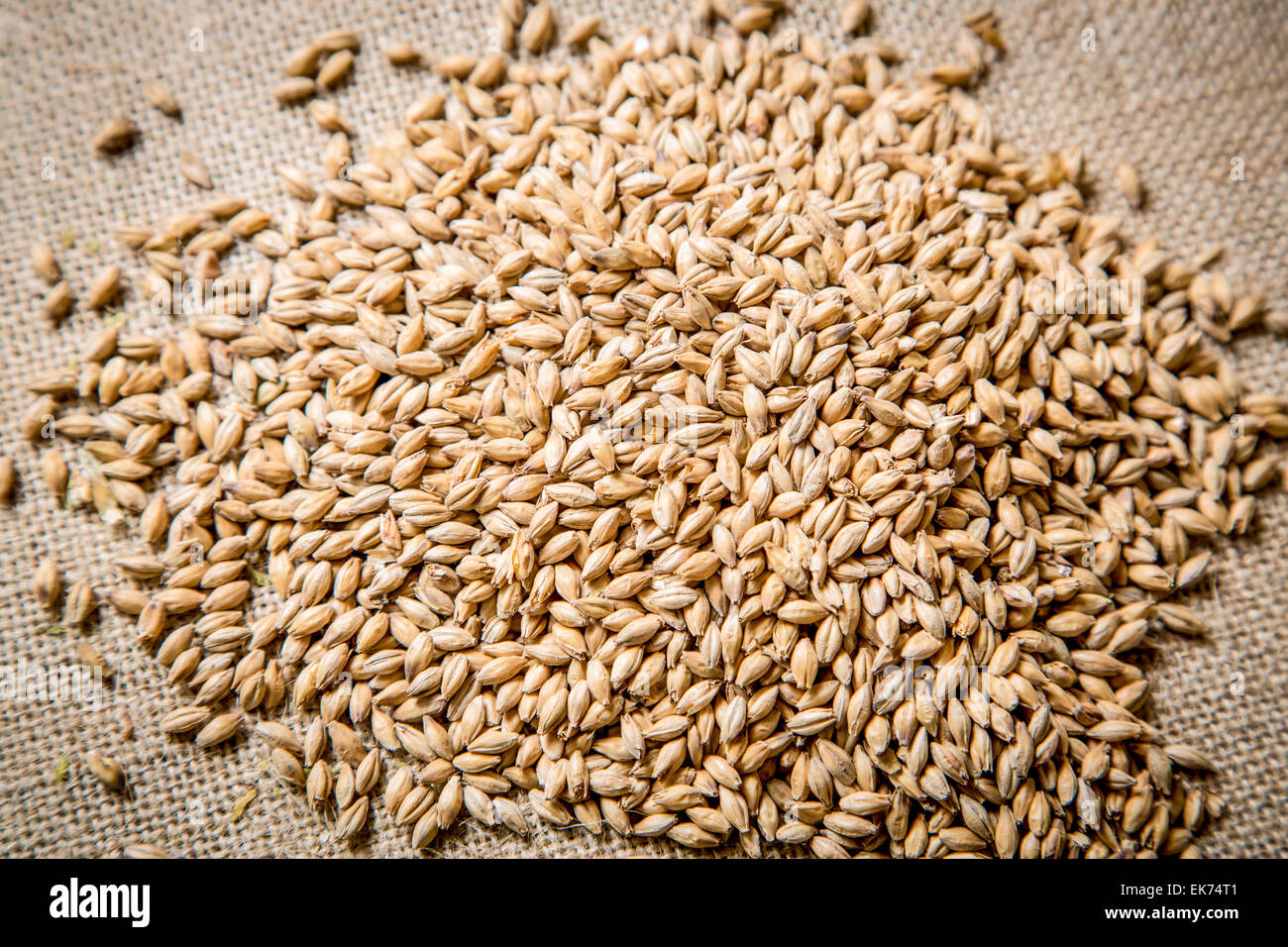 About malt hi-res stock photography and images - Alamy