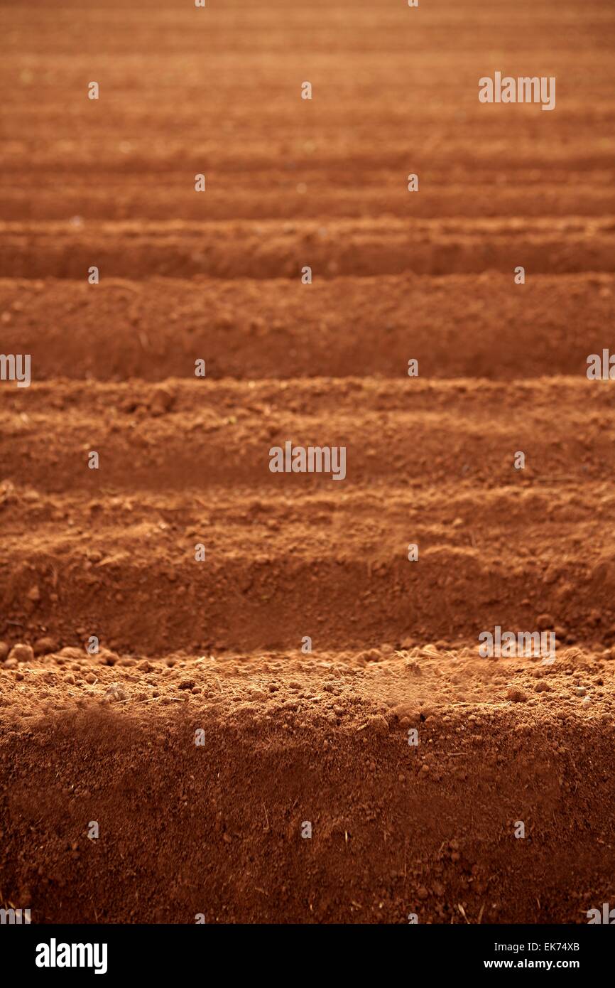 Ploughed red clay soil agriculture fields Stock Photo - Alamy