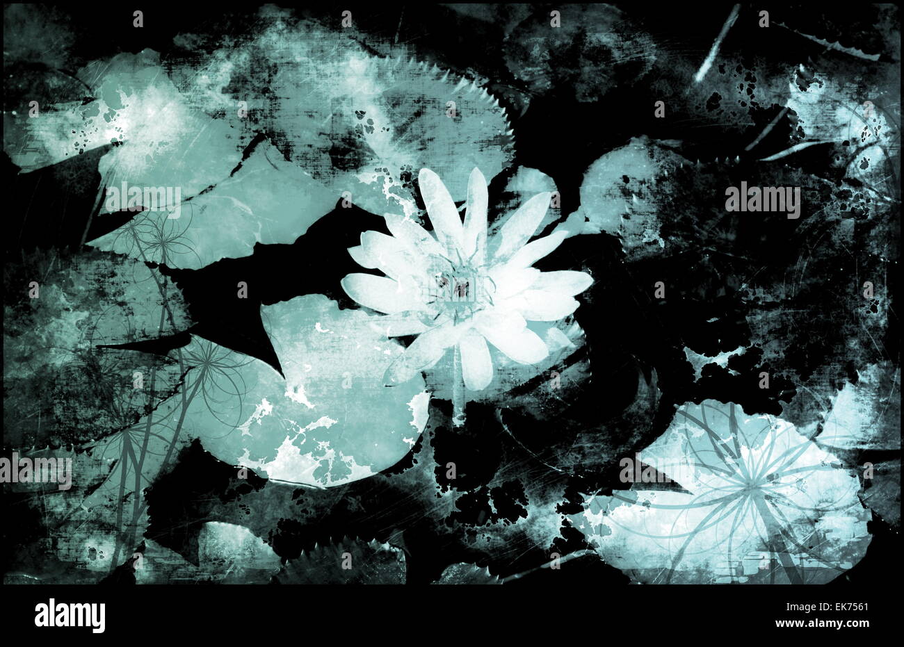 Innocence in Nature Painted Flowers Stock Photo - Alamy