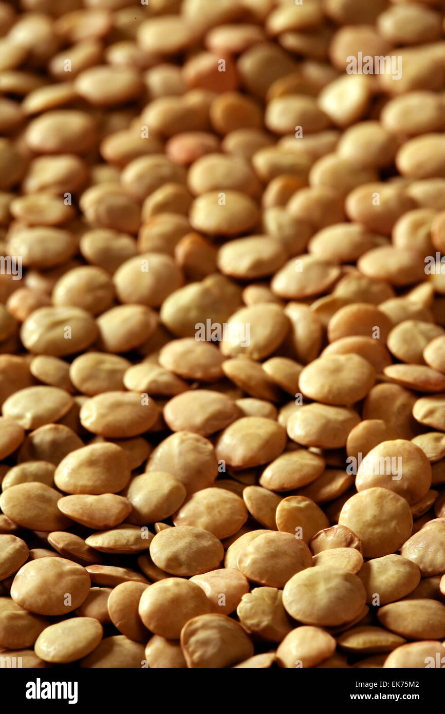 Lentils macro crop texture in brown color Stock Photo - Alamy