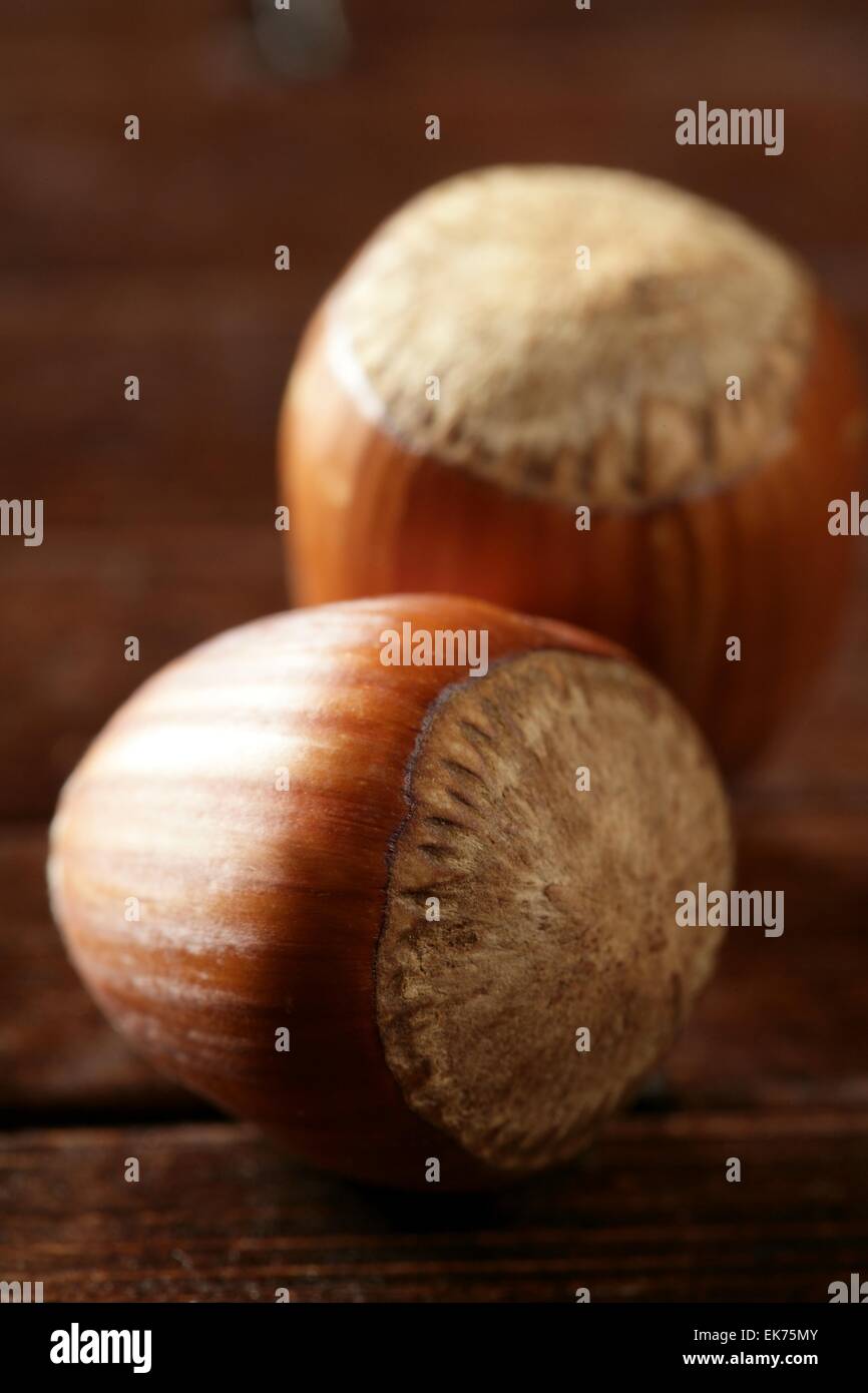 Delicious hazelnuts, macro detail, warm golden light Stock Photo - Alamy