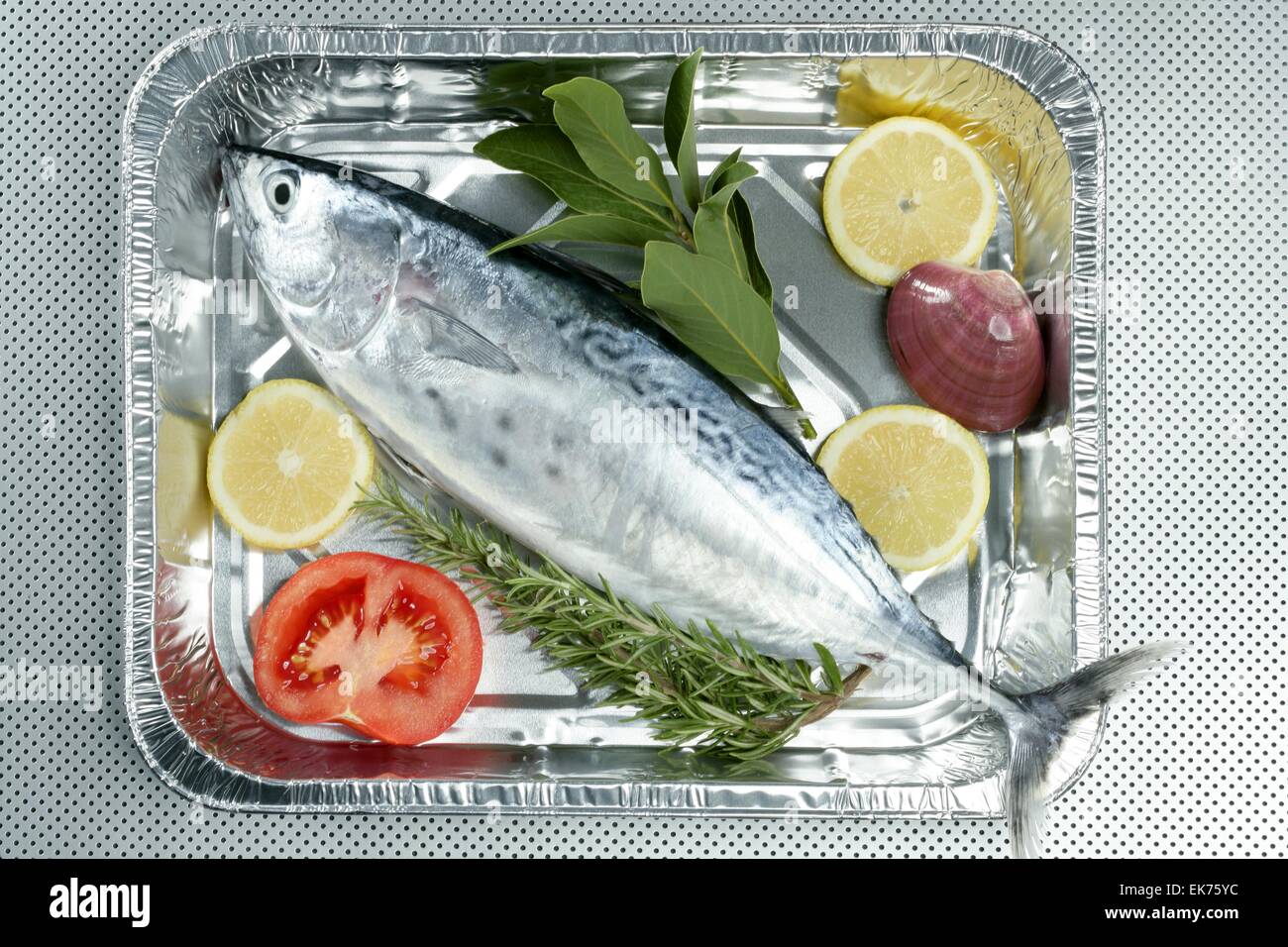 little tunny, tuna, alby, albacore, silver color Stock Photo - Alamy