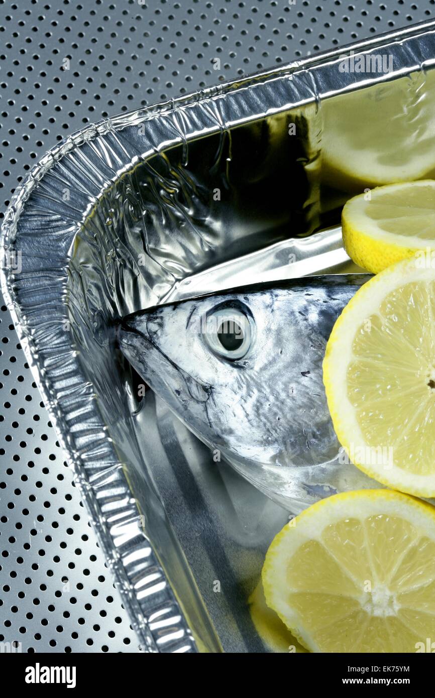 little tunny, tuna, alby, albacore, silver color Stock Photo - Alamy