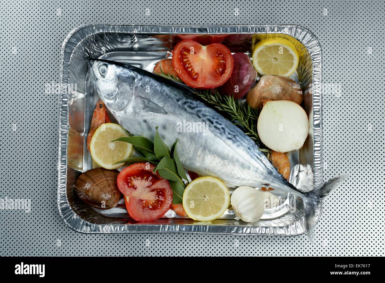 little tunny, tuna, alby, albacore, silver color Stock Photo - Alamy