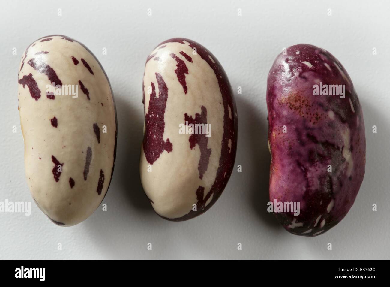 Beans macro at studio white background Stock Photo - Alamy