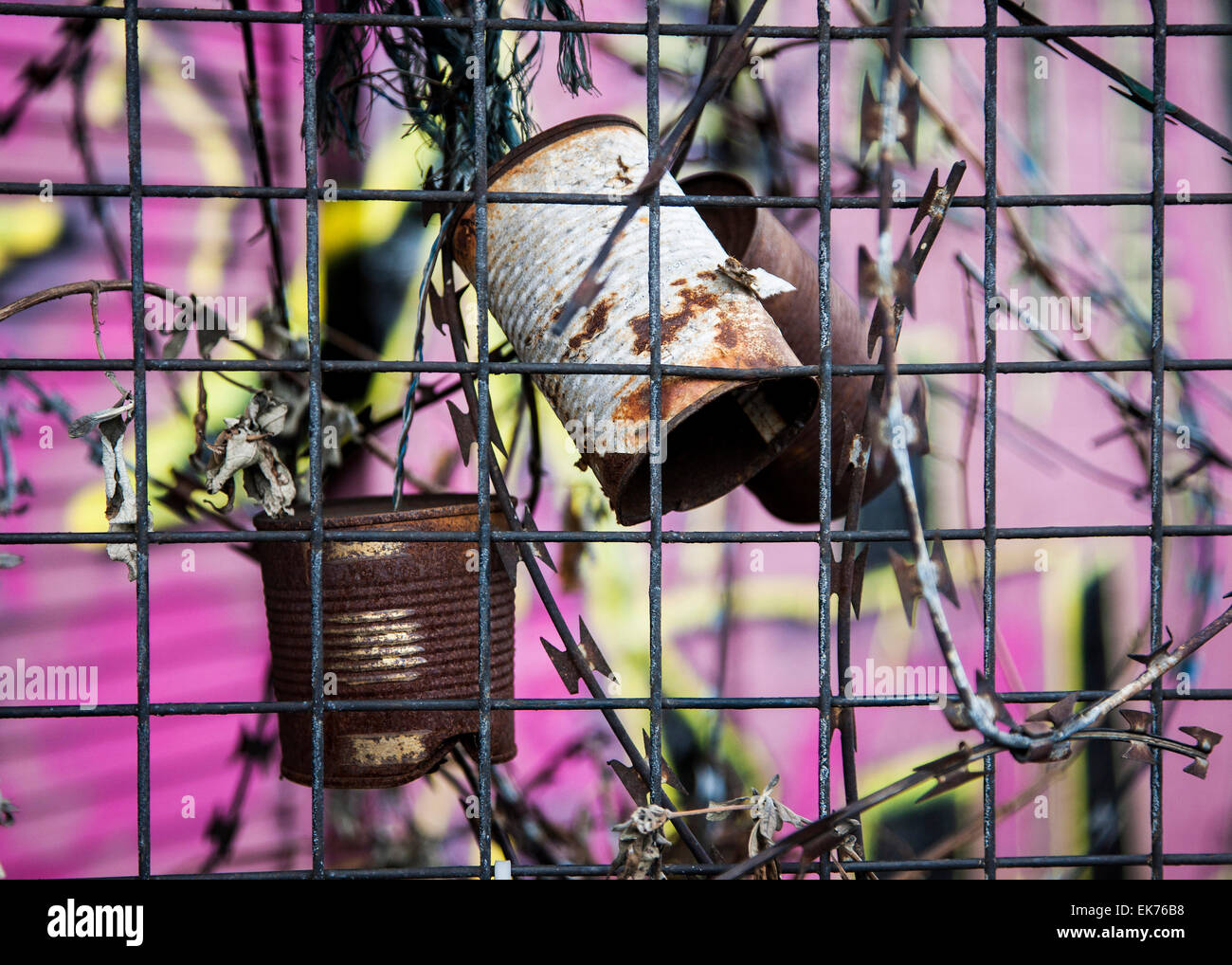 Rusty tin cans and razor wire Stock Photo - Alamy