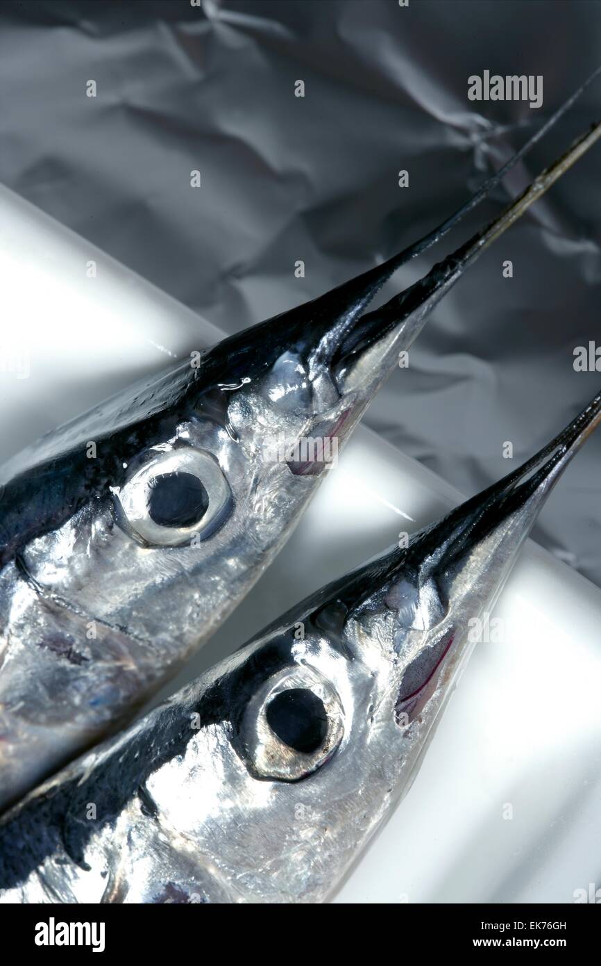 Needle fish, uncooked macro studio shot Stock Photo - Alamy