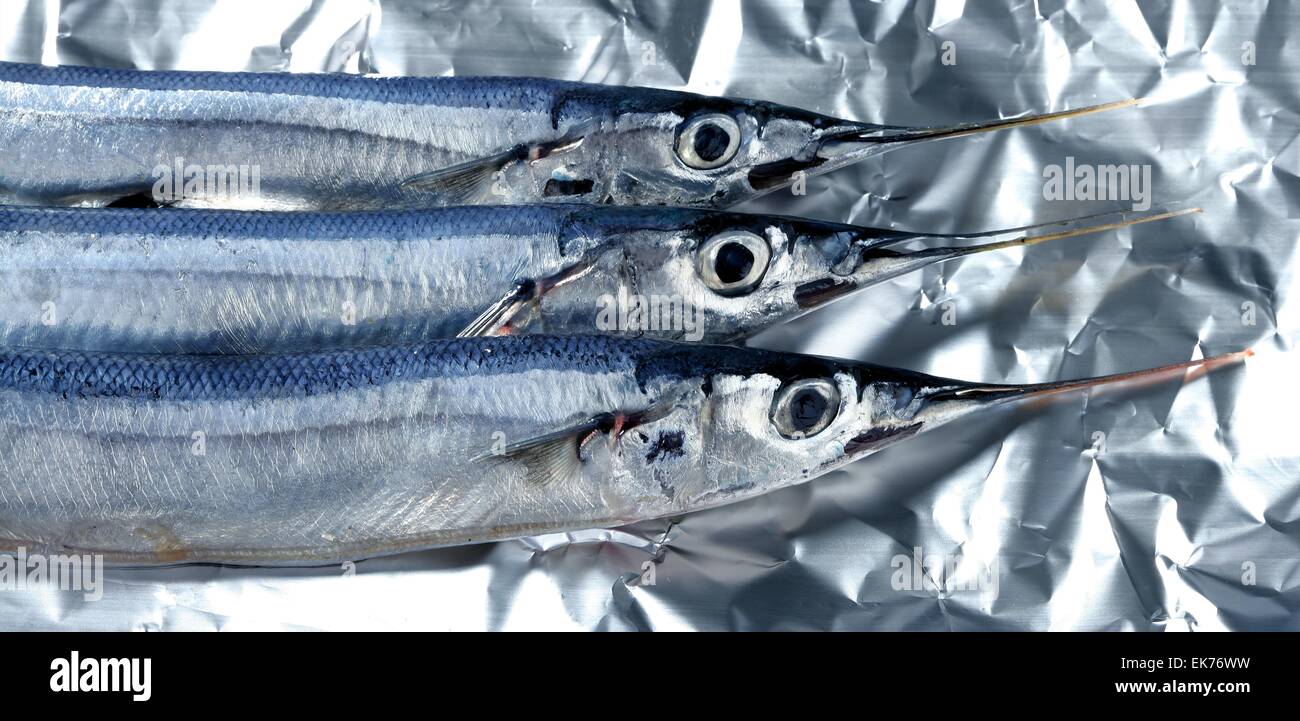 three needle fish, uncooked macro studio shot Stock Photo - Alamy
