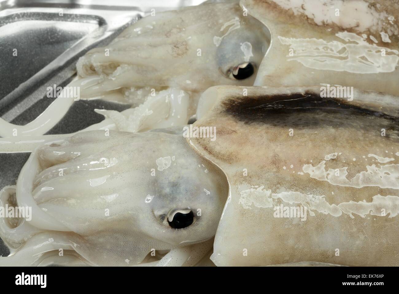 Cuttlefish uncooked, Squid Mediterranean seafood Stock Photo - Alamy