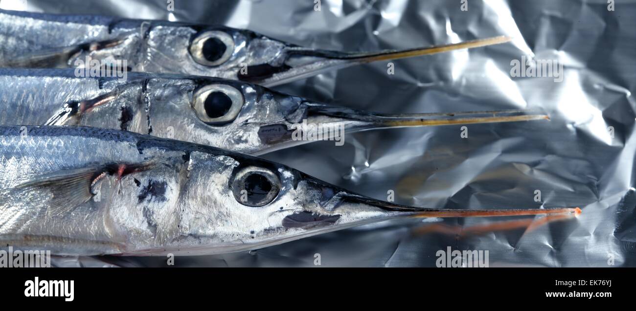 three needle fish, uncooked macro studio shot Stock Photo - Alamy