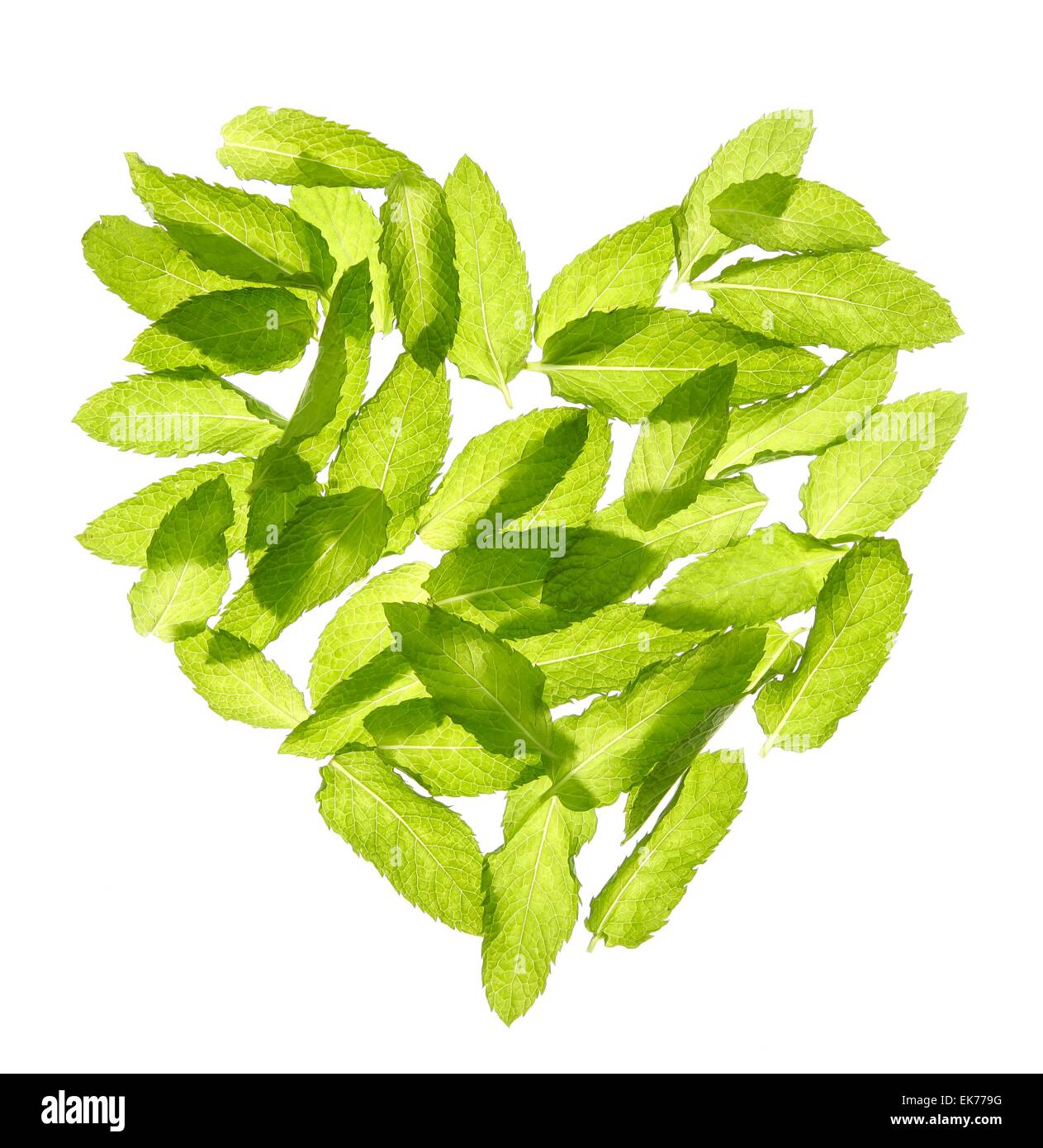 Basil mint leaves heart shape isolated on white Stock Photo - Alamy