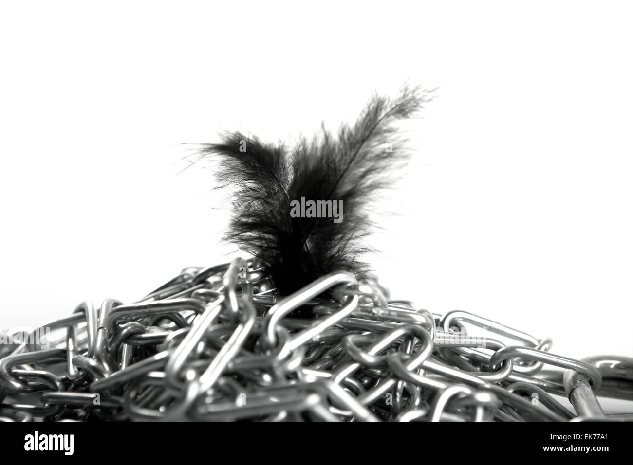 Steel chain mess and soft feather contrast Stock Photo - Alamy