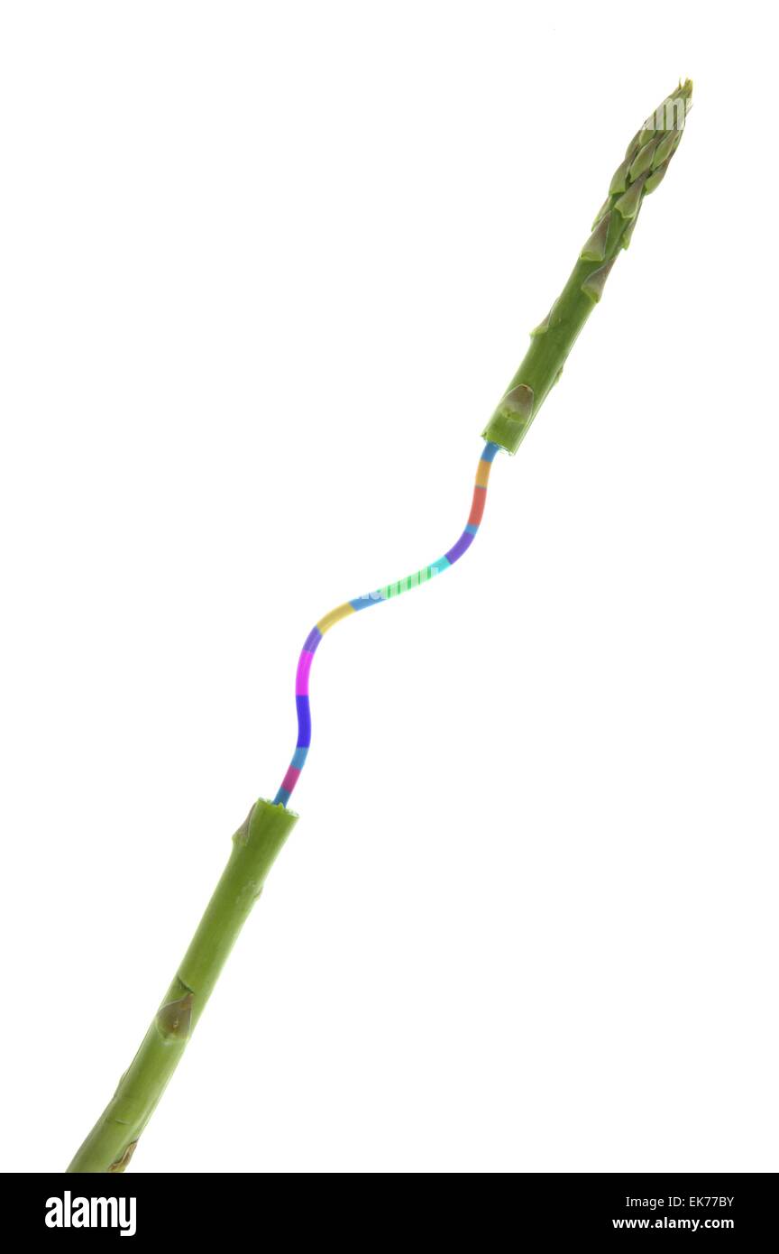 genetic engineering food, vegetables investigation Stock Photo - Alamy