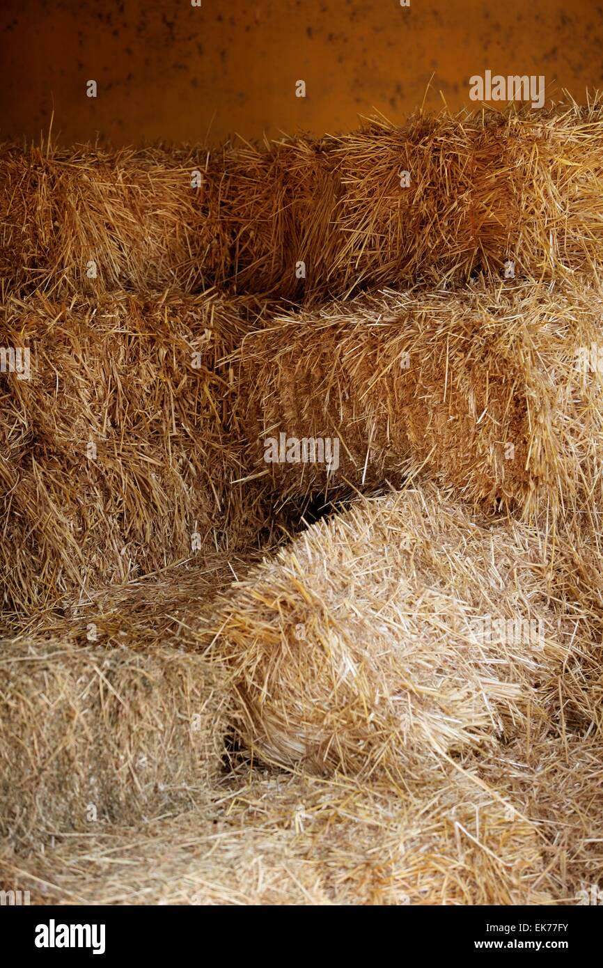 Golden straw barn stacked Stock Photo - Alamy