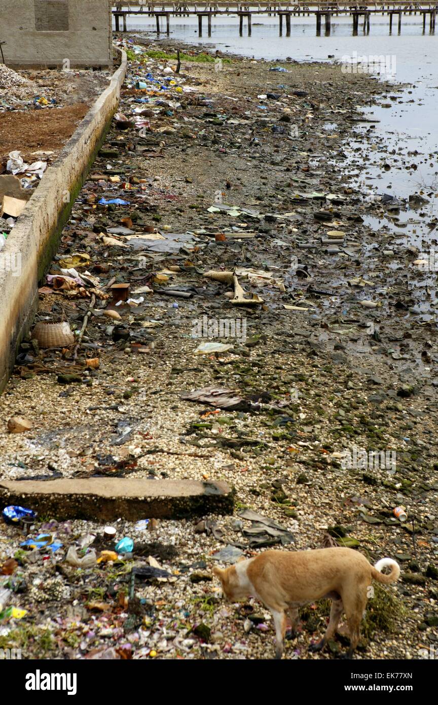 Dirty landscape of river with trash, Africa Stock Photo - Alamy
