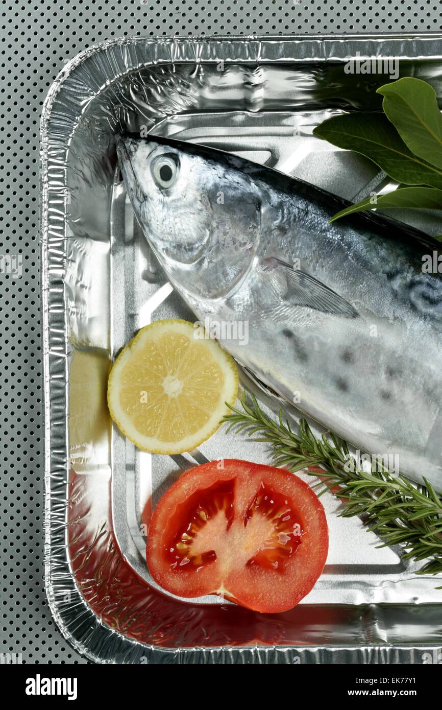 little tunny, tuna, alby, albacore, silver color Stock Photo - Alamy