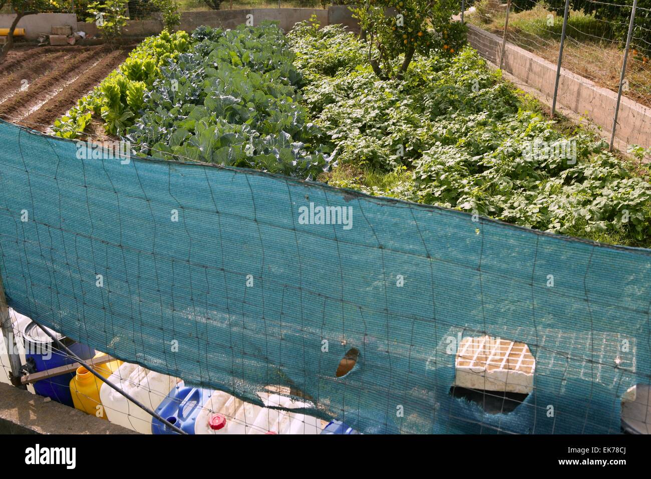 Little family field with messy fence Stock Photo - Alamy