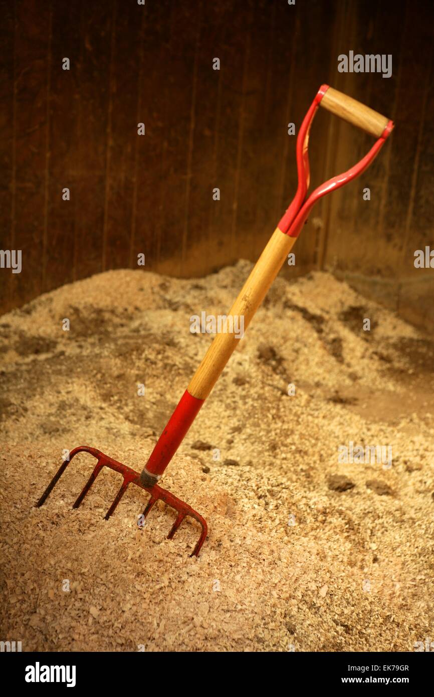 Horse stable witth straw fork tool, sawdust Stock Photo - Alamy