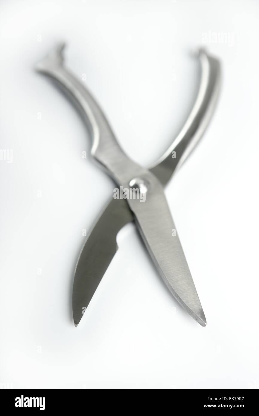 Chicken carving scissors Stock Photo - Alamy