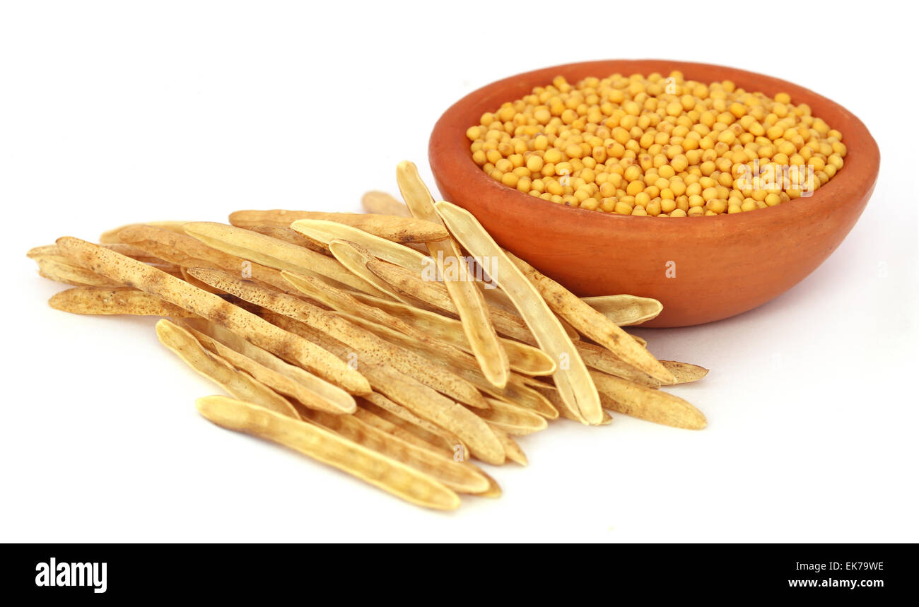 Empty seed pod hi-res stock photography and images - Alamy