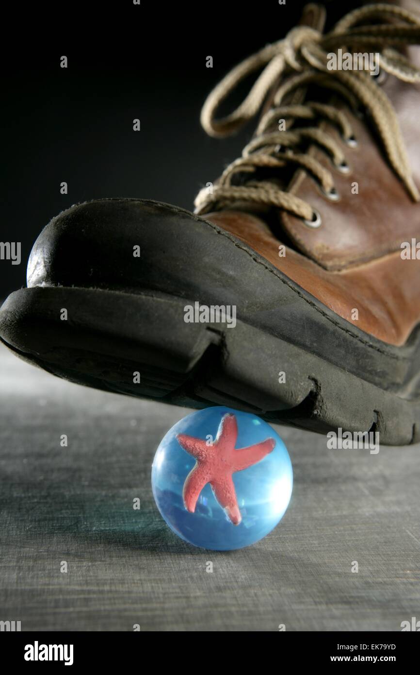 boot treading a red starfish Stock Photo - Alamy