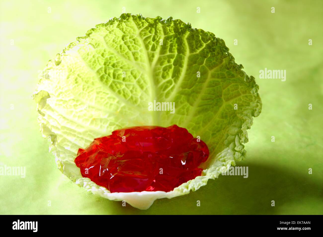 Growing inside a cabbage leaf Stock Photo - Alamy