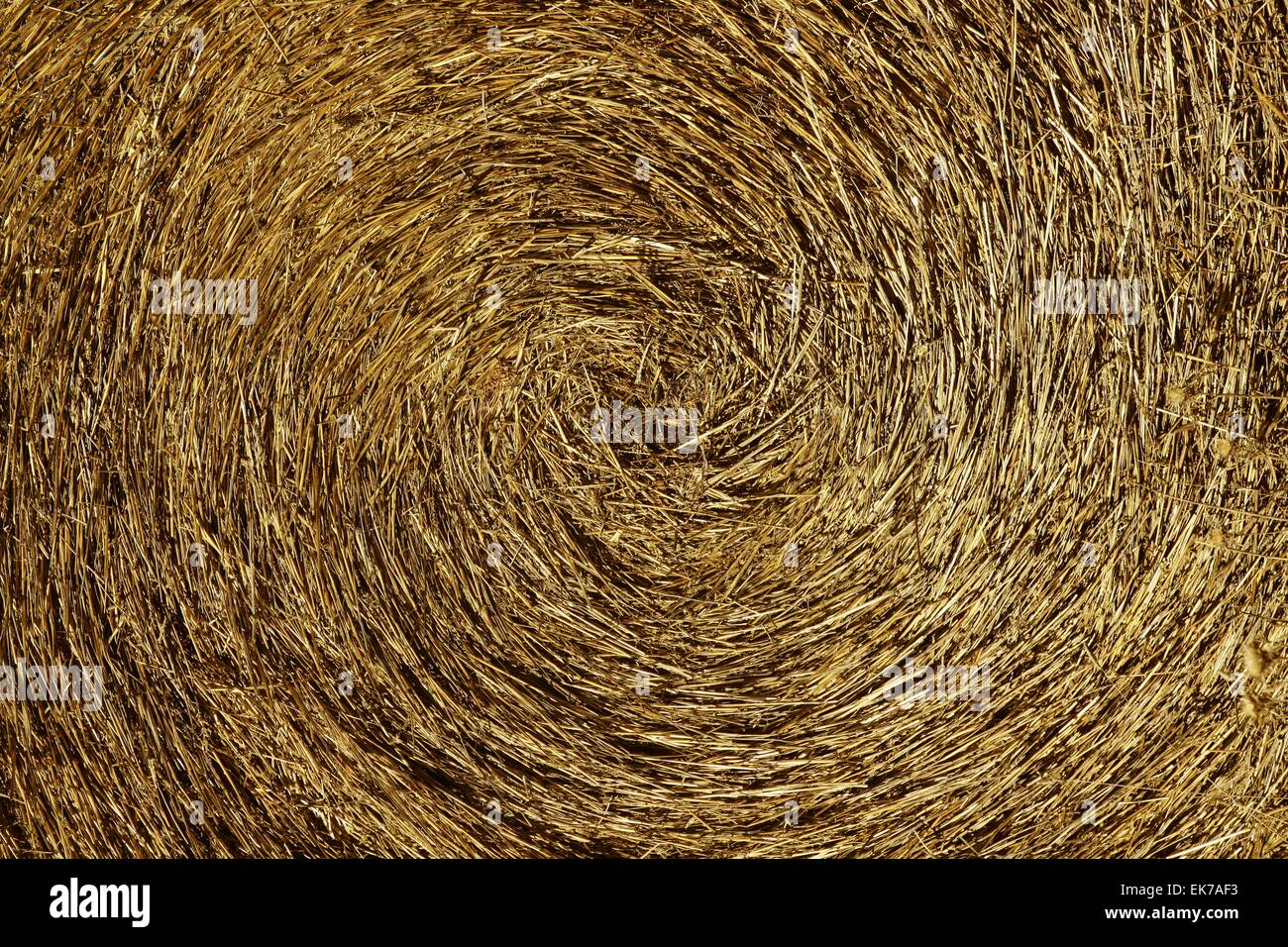 Yellow straw round bale, macro texture background Stock Photo - Alamy