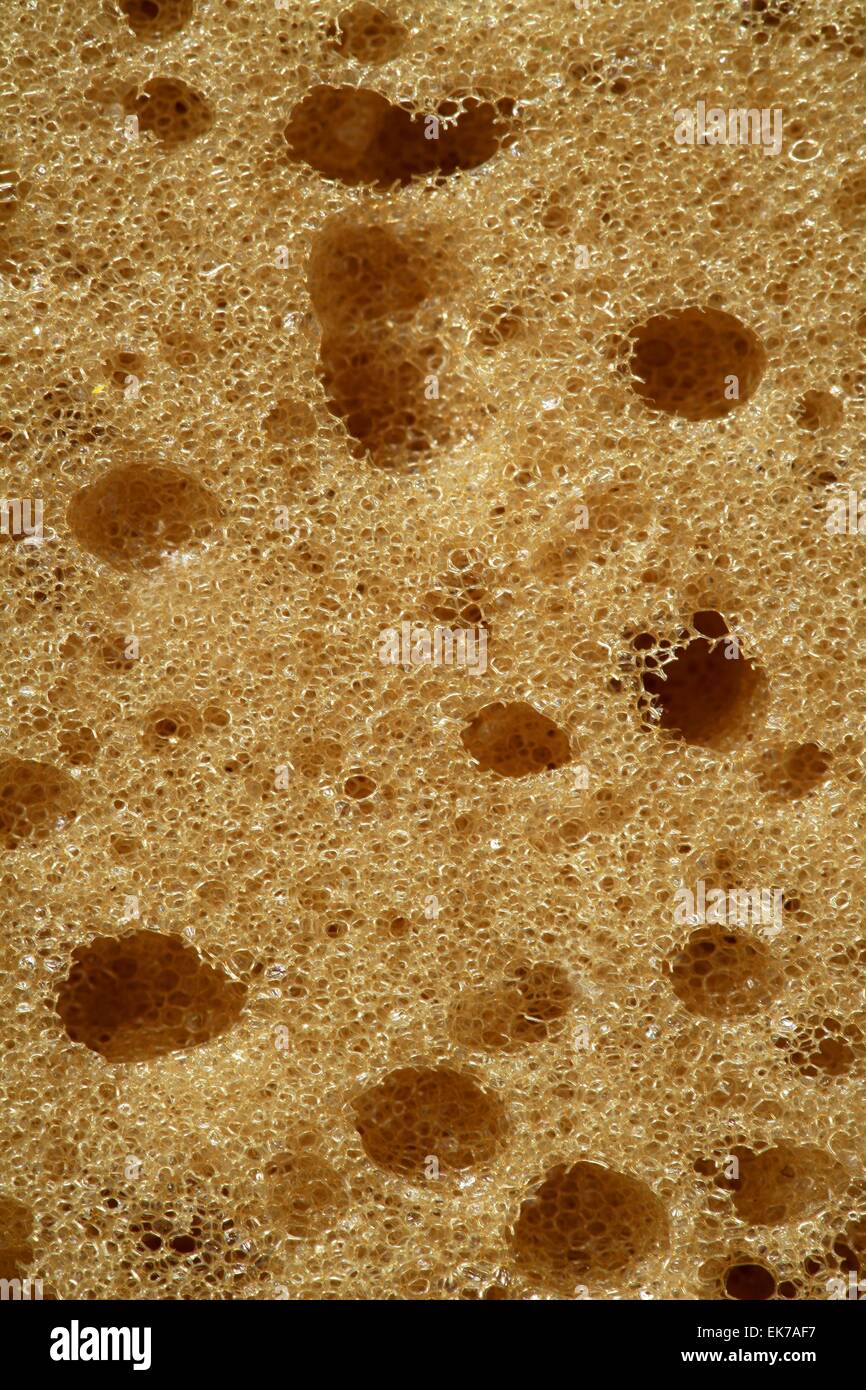 Sponge texture background, macro detail of surface Stock Photo - Alamy