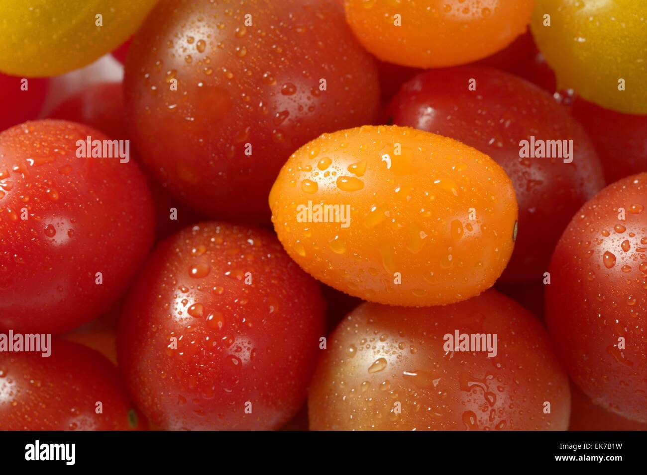 Little cherry varied multi color tomatoes Stock Photo - Alamy