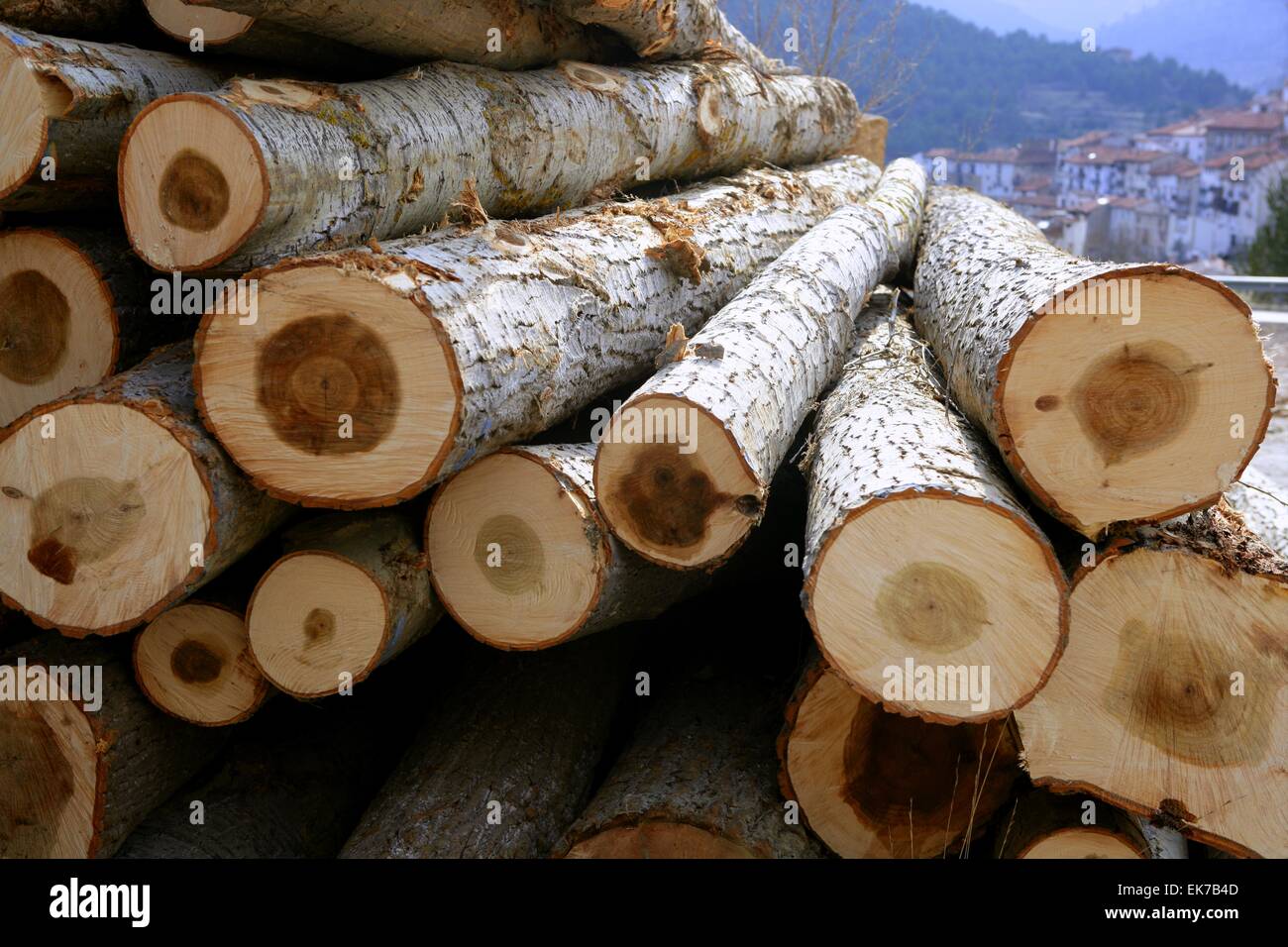 Stacked wooden logs, tree trunks Stock Photo - Alamy