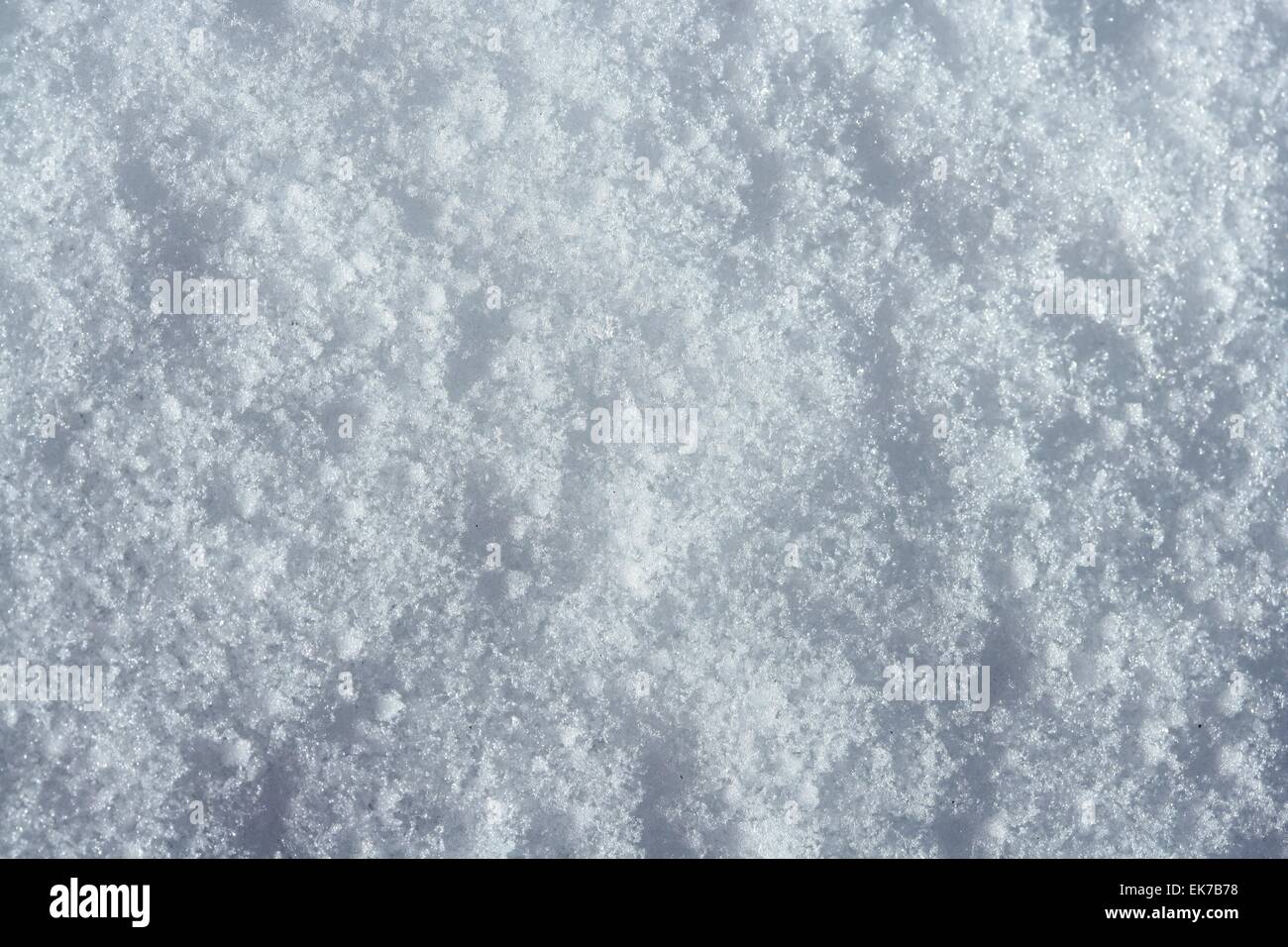 Snow macro detail. Iced white texture Stock Photo - Alamy