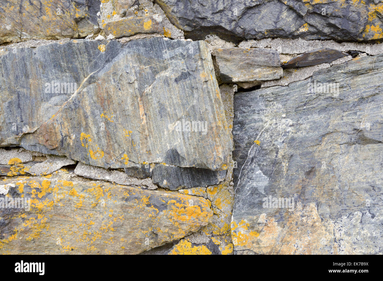 Stone wall in Cornish countryside Stock Photo - Alamy
