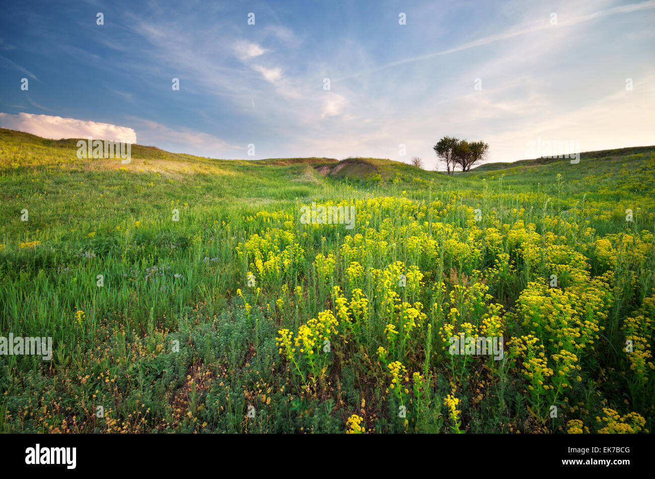 Meadow with mountain hi-res stock photography and images - Alamy
