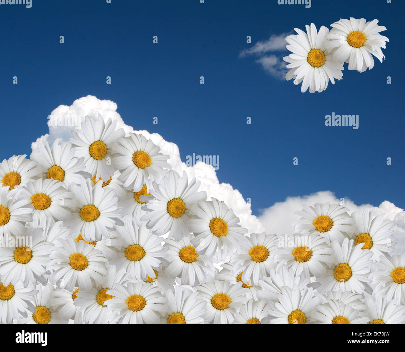 Floral sky background Stock Photo - Alamy