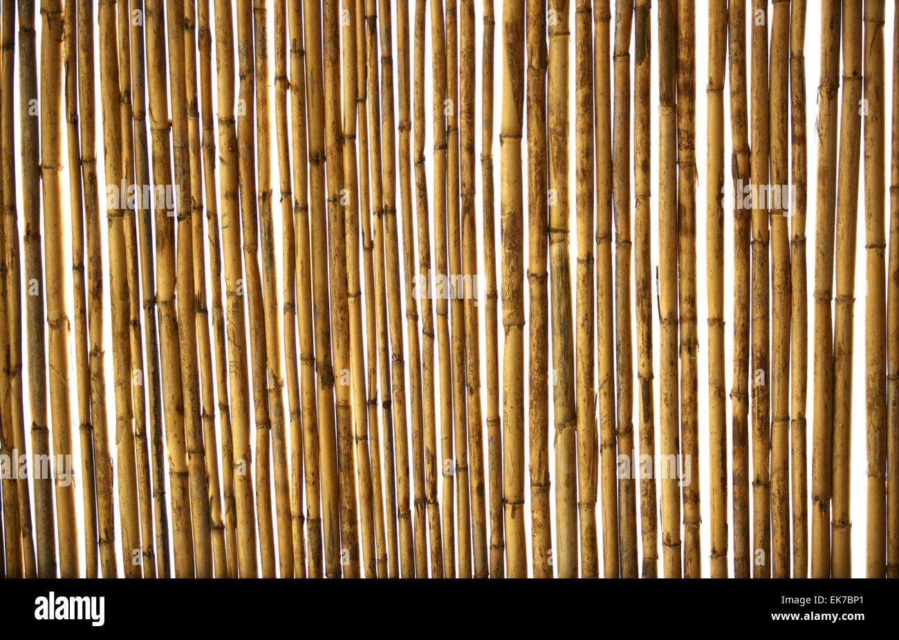 Dry cane texture background Stock Photo - Alamy