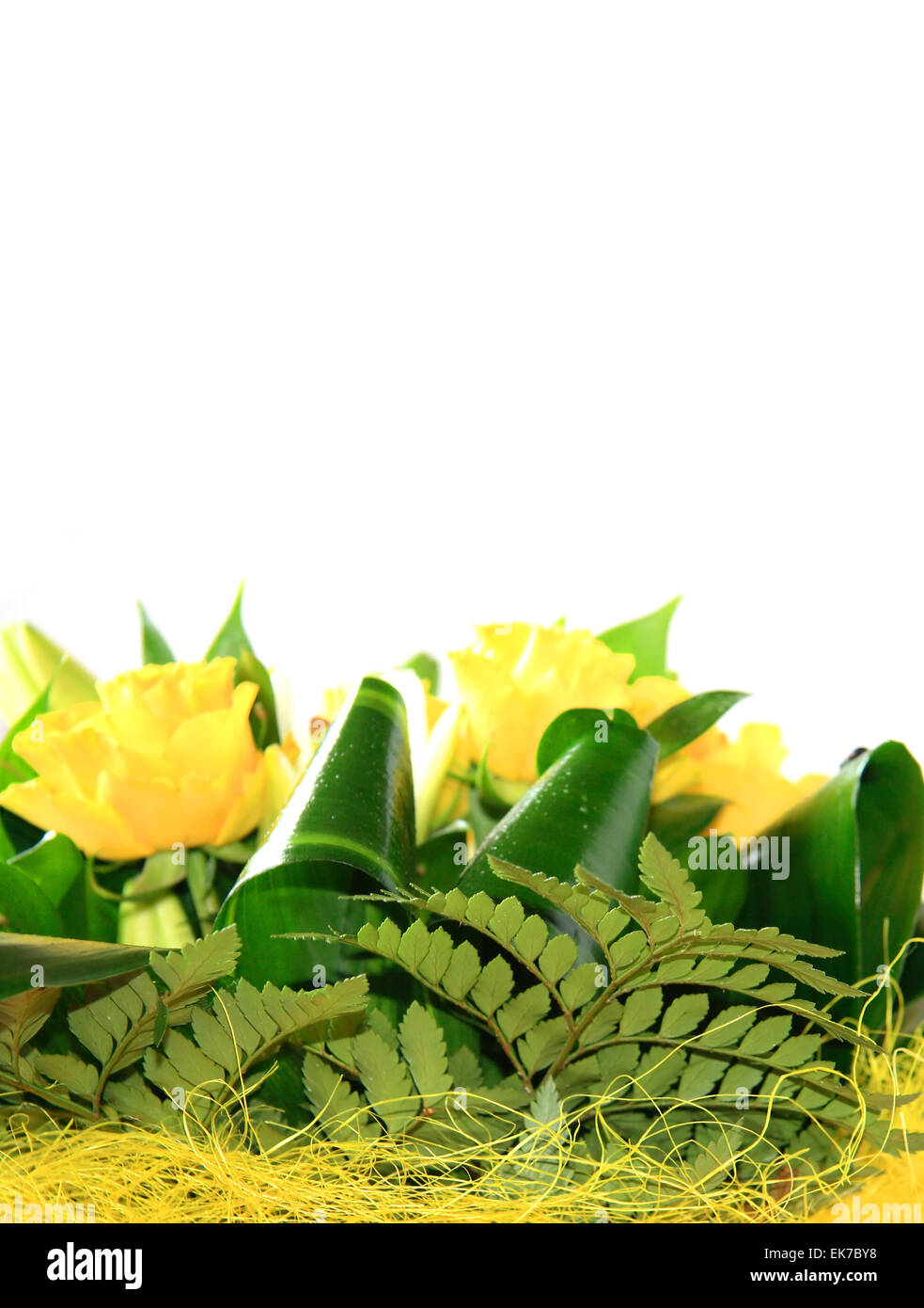 Floral frame for your design Stock Photo - Alamy