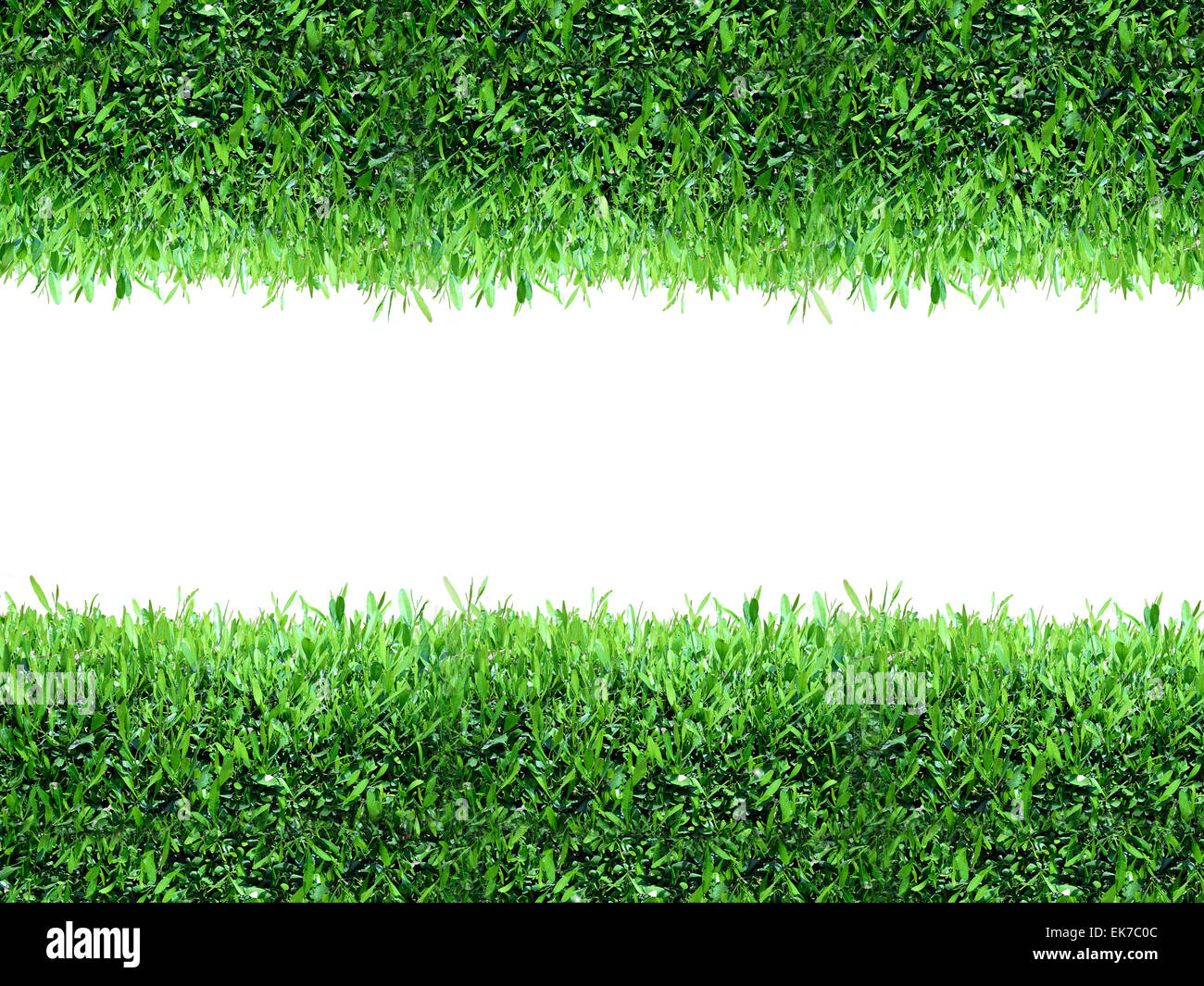 Spring, green grass background Stock Photo - Alamy