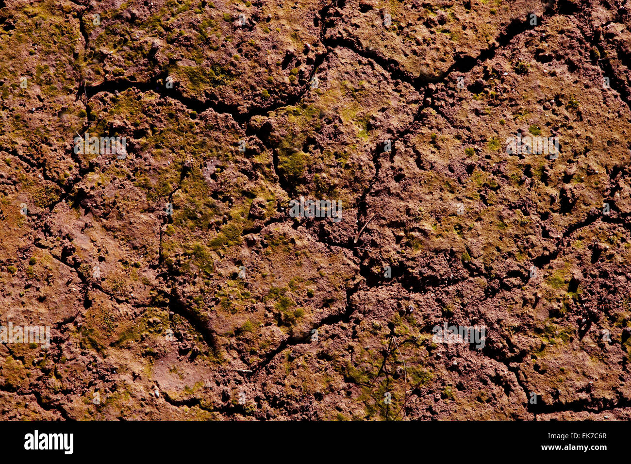 Dried cracked red clay natural soil Stock Photo - Alamy