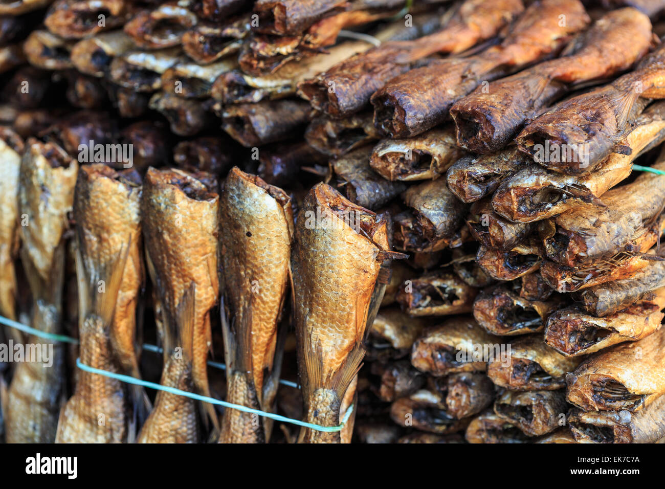 Close up dry fish in Thailand market Stock Photo - Alamy