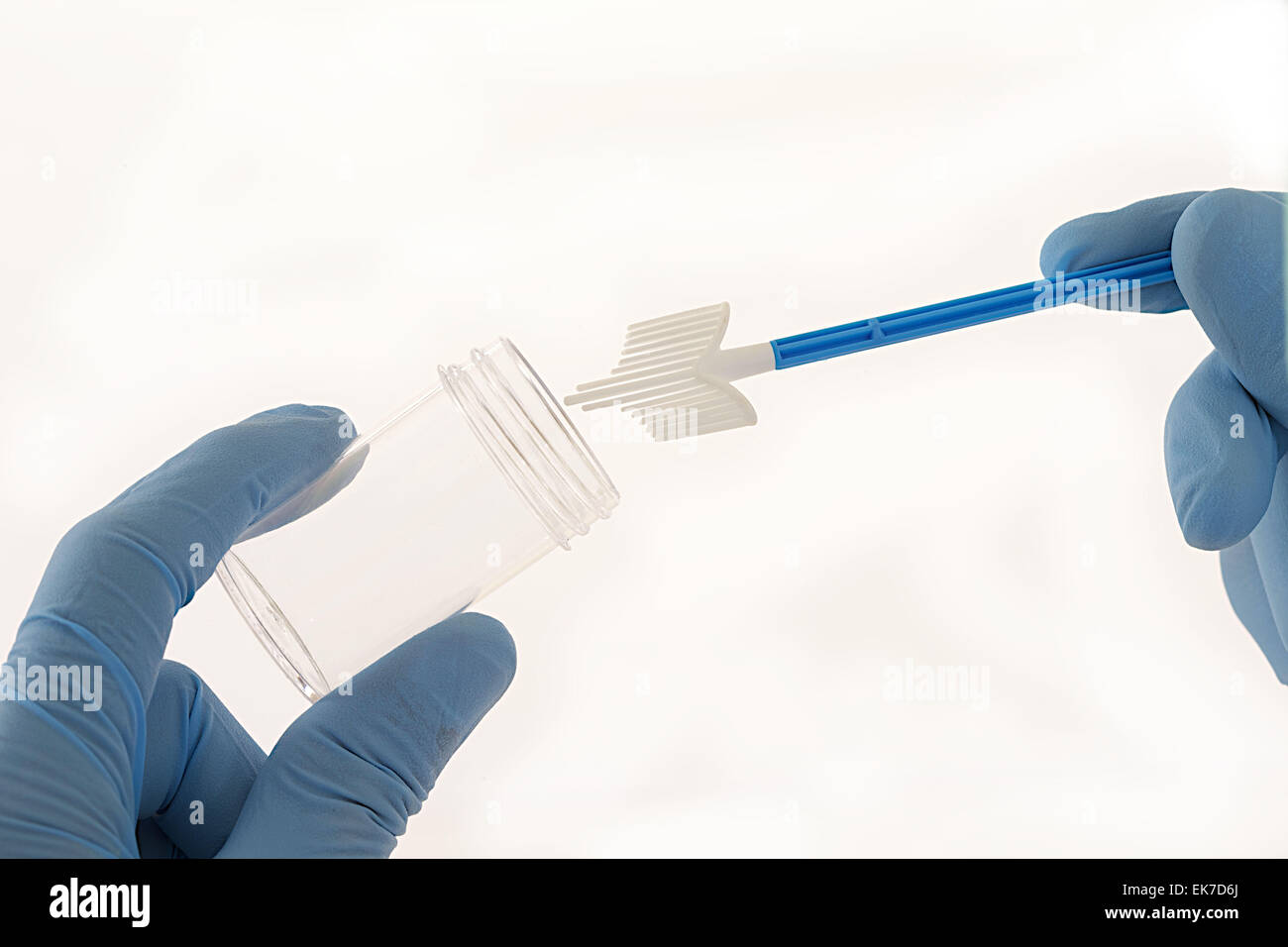 Specimen cut out hi-res stock photography and images - Alamy