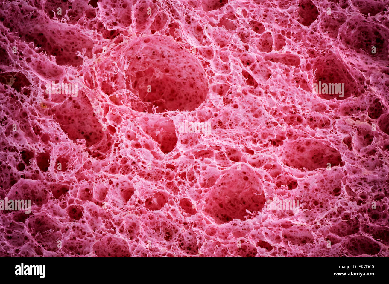 Science texture hi-res stock photography and images - Alamy