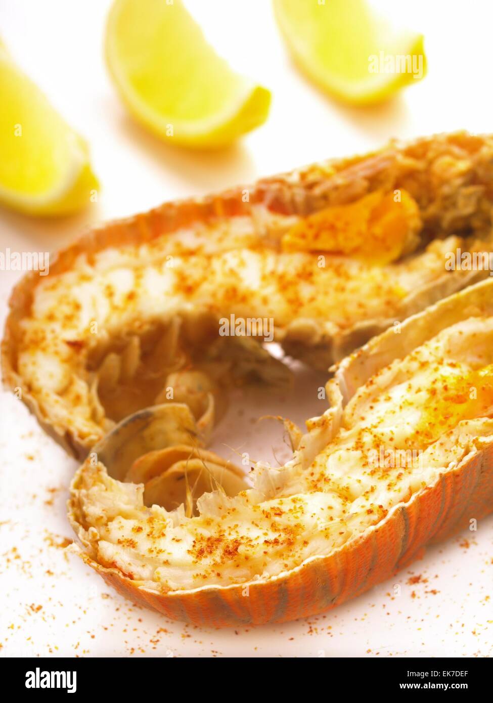 Slipper crayfish hi-res stock photography and images - Alamy