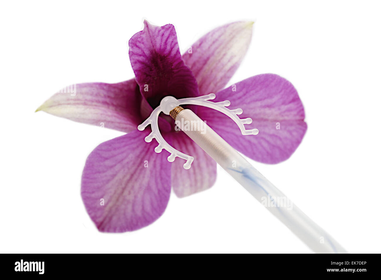 Copper intrauterine device Stock Photo - Alamy