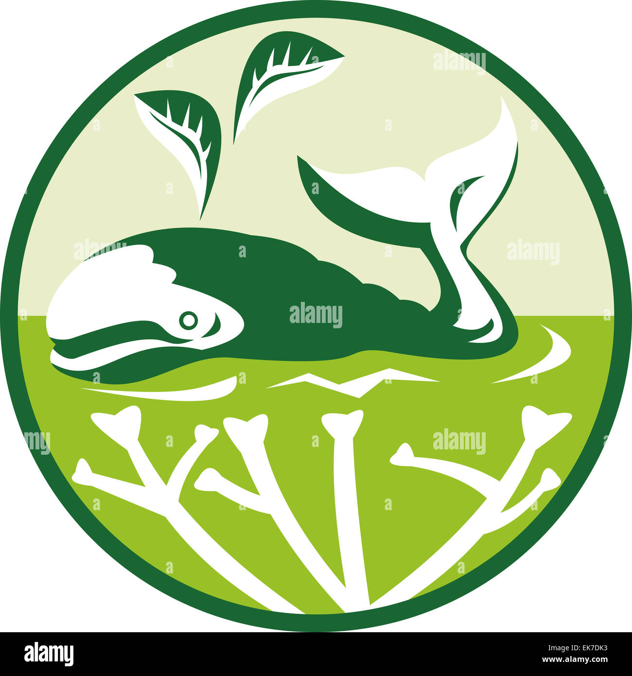 Green Whale blowing leaf and coral in sea Stock Photo - Alamy