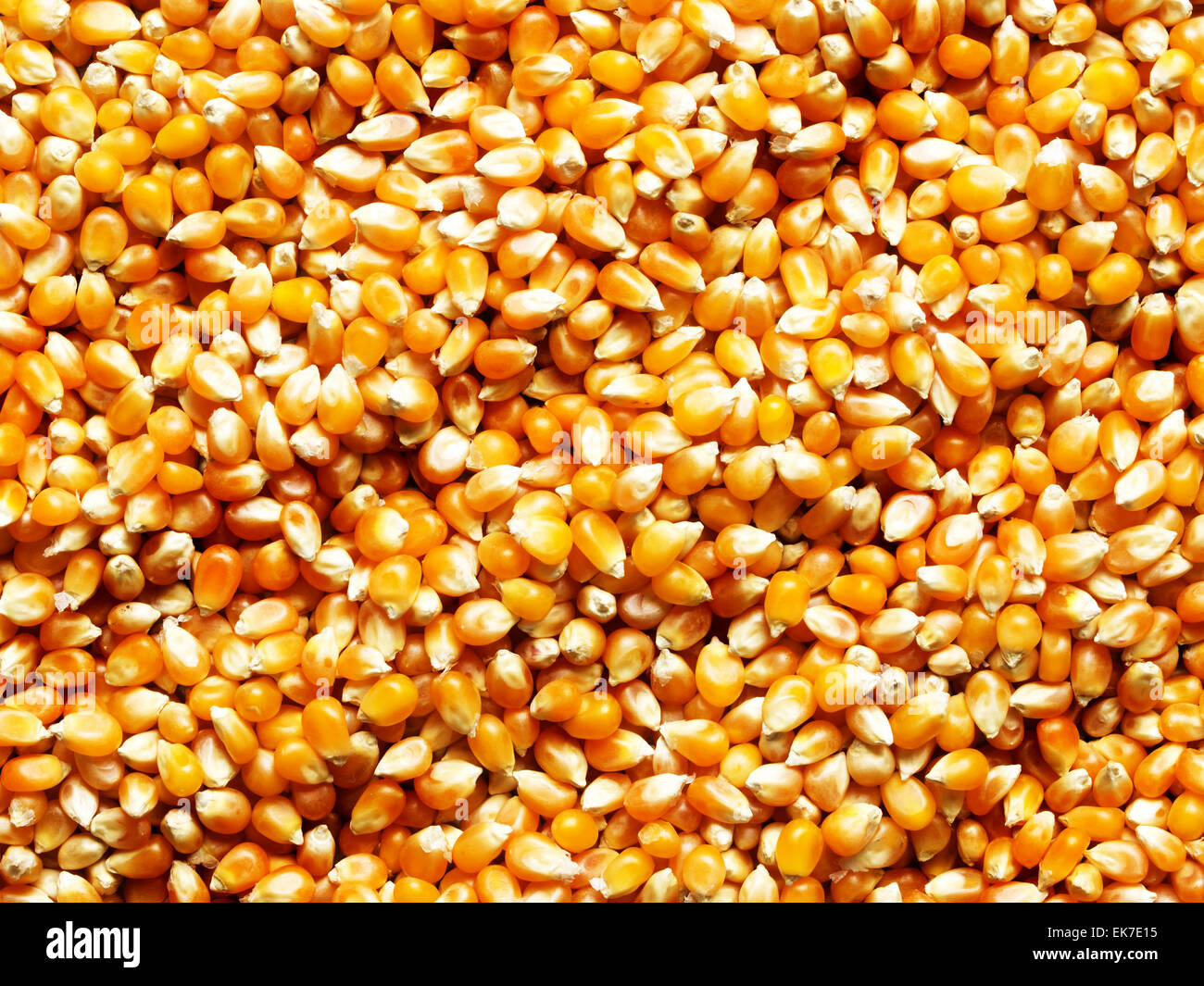 Dried corn kernel hi-res stock photography and images - Alamy