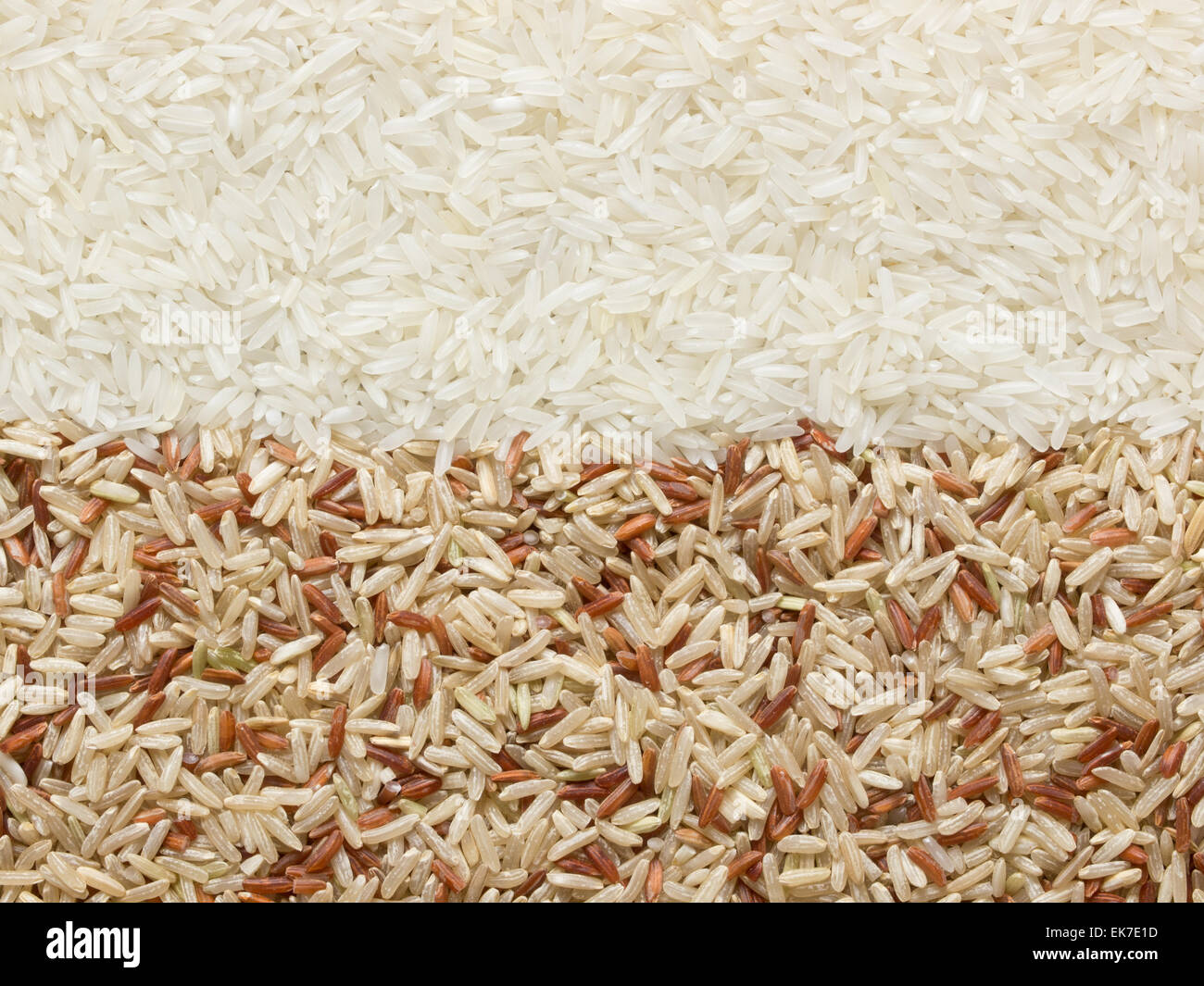 polished ands unpolished rice Stock Photo - Alamy