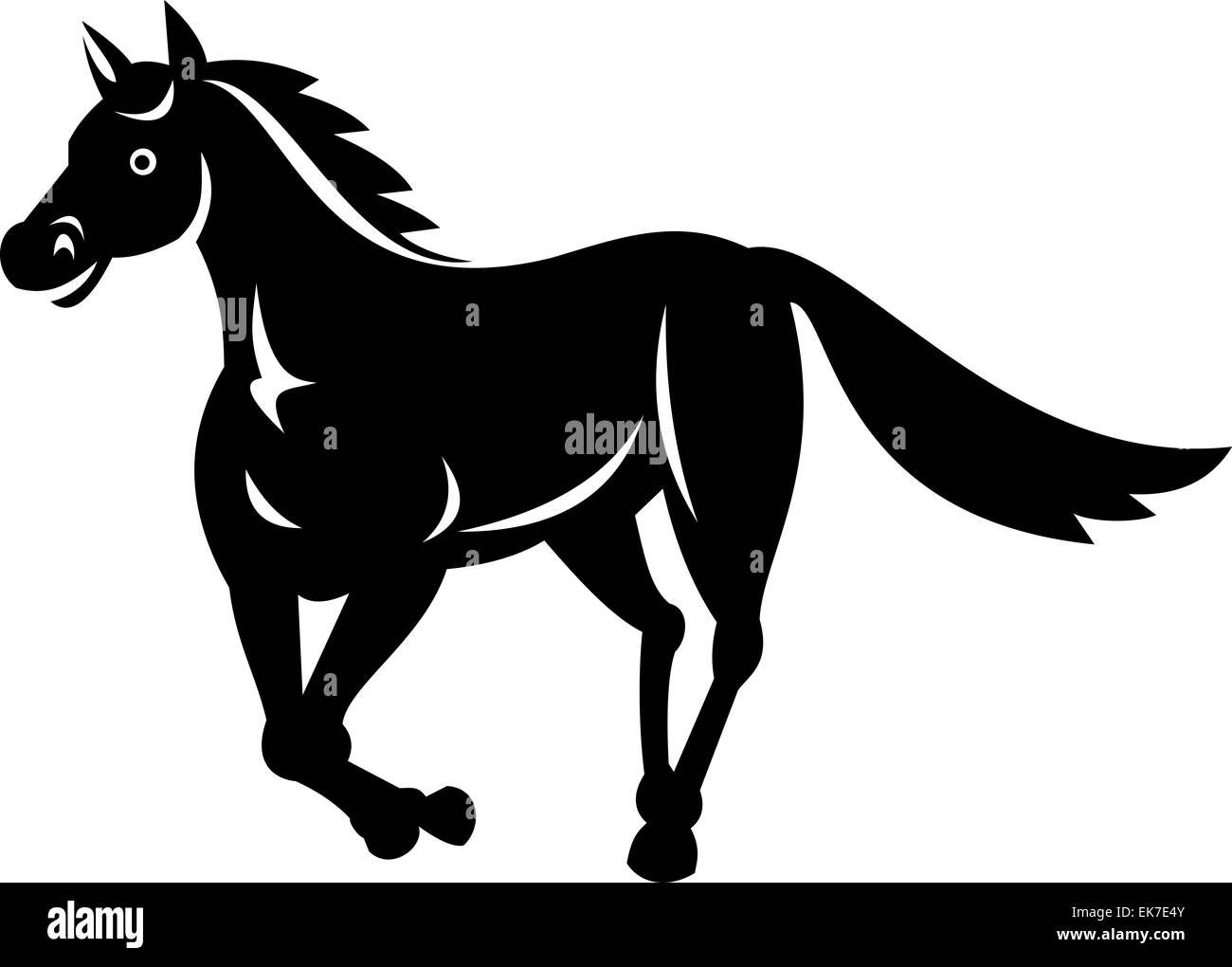 White horse running Black and White Stock Photos & Images - Alamy
