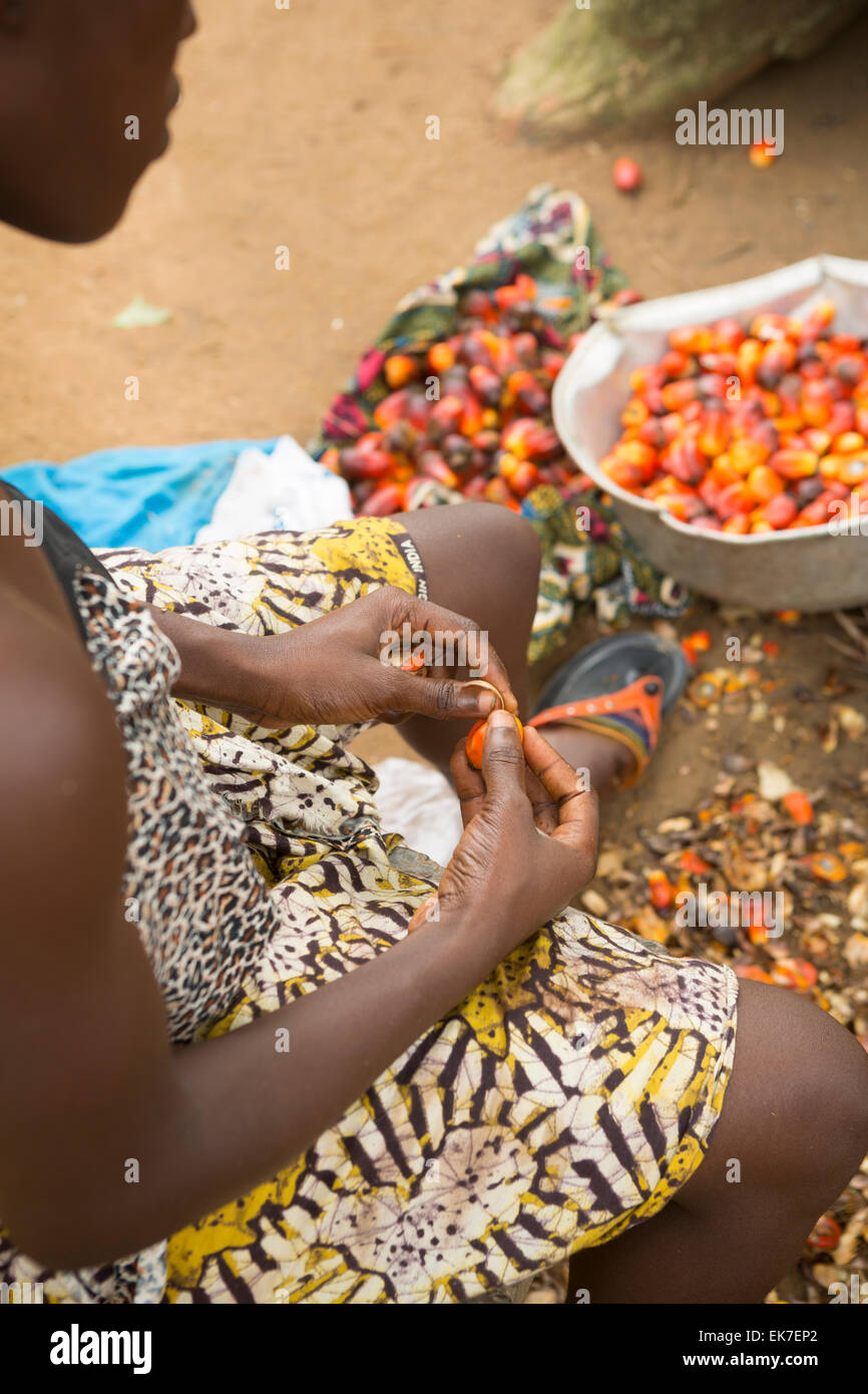 Date palm tree production hi-res stock photography and images - Alamy